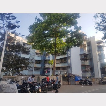 Flat / Apartment on Rent / Lease / Sale in Divine Mercy, Andheri West ...