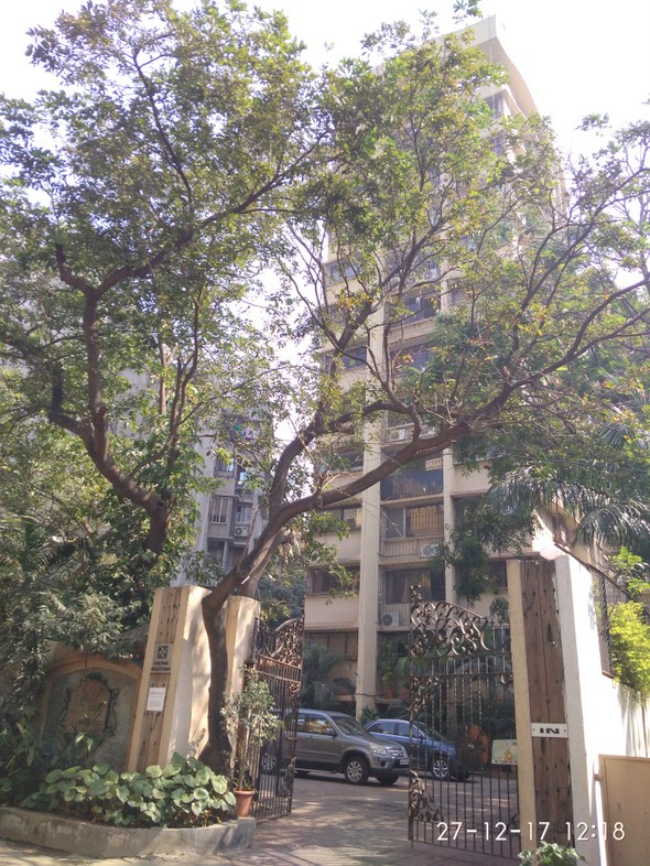 Properties matching to Parshu Gayatri (Rapid Deals) Requirement of 3 BHK Flats on Rent in Bandra ...