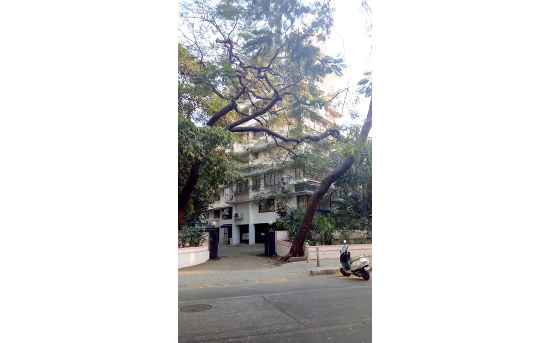 Wood House, Colaba Flats Apartments on Rent, Sale & Lease